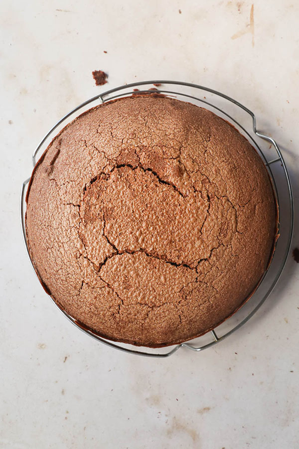 French Chocolate Cake with Whipped Cream Filling & Meringue - Belula