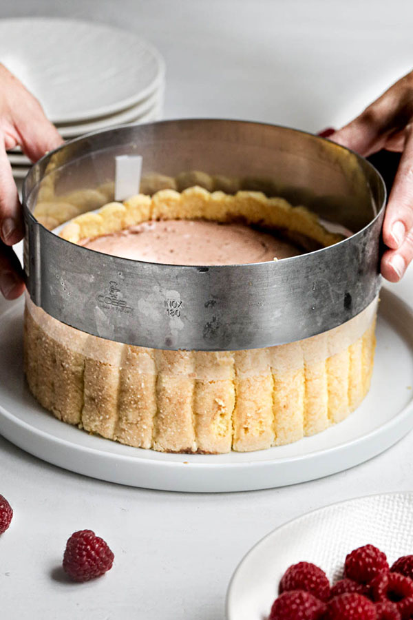 French Raspberry Chocolate Charlotte Cake - Belula